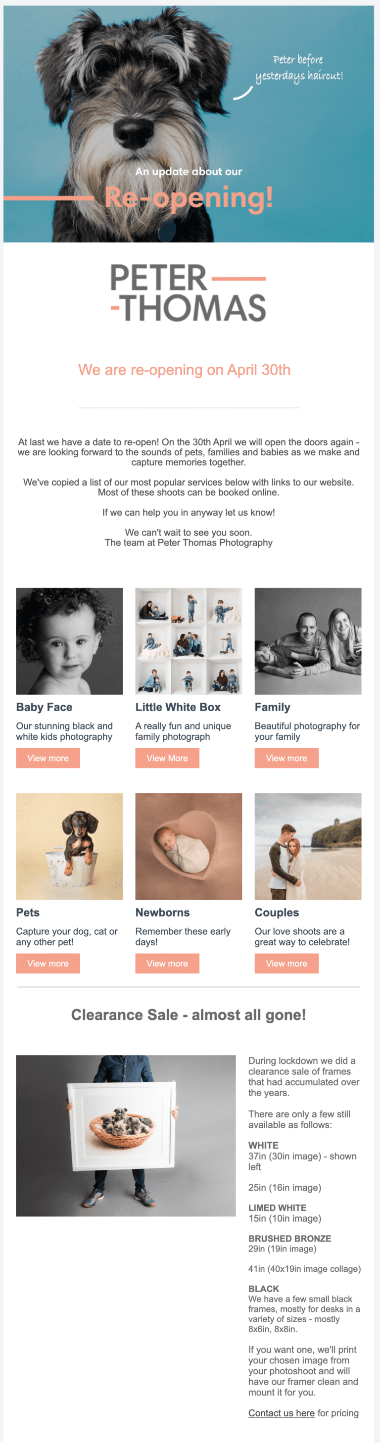 13 Great Email Newsletter Examples + Tips to Copy