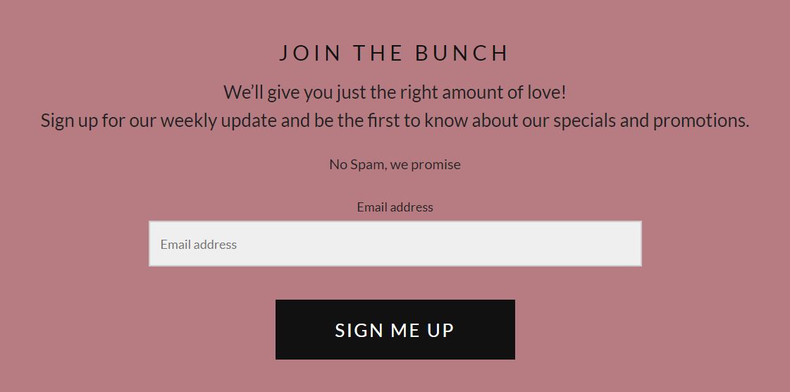 20 Inspiring Newsletter Signup Examples