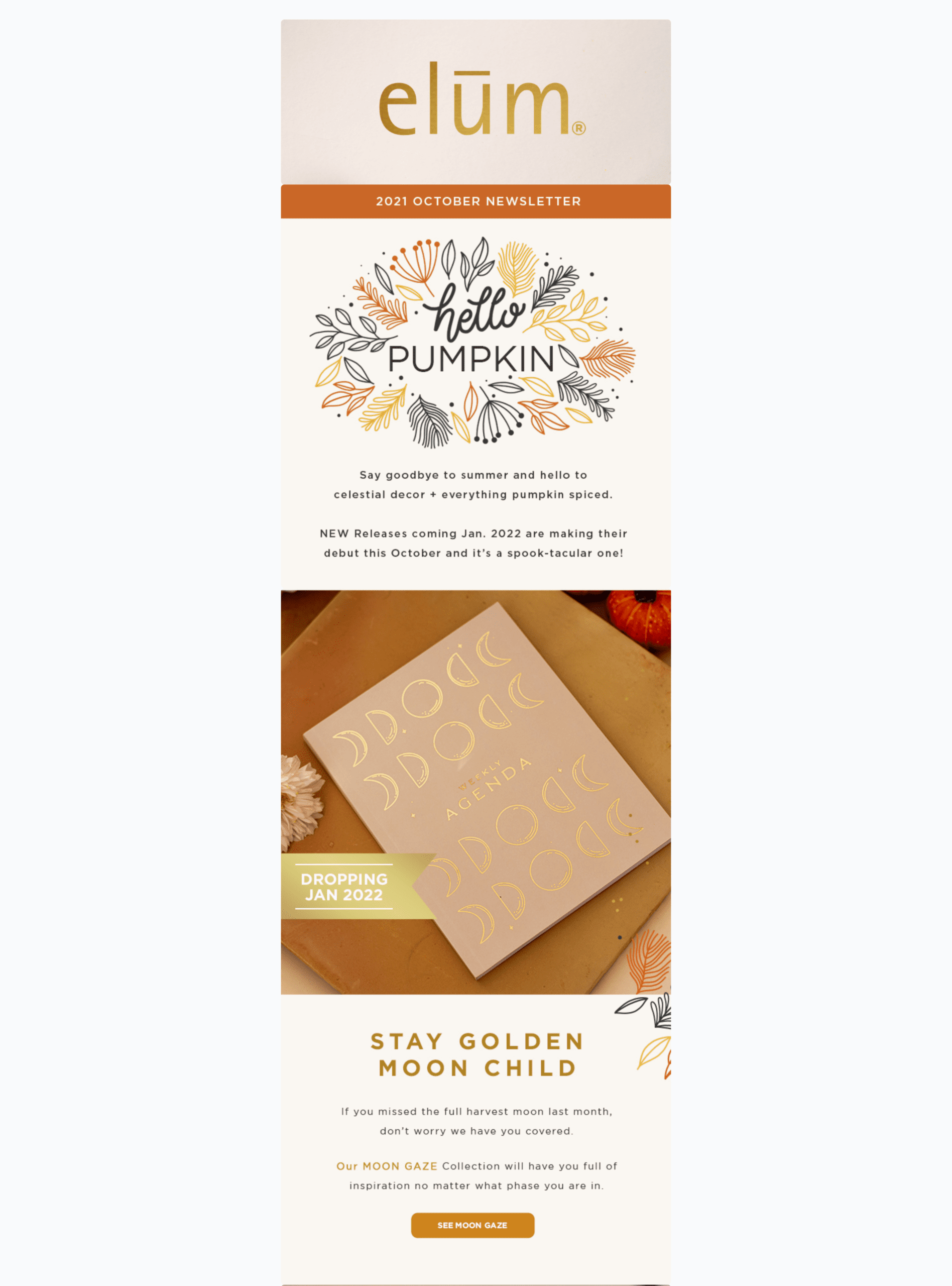Best Fall Newsletter Ideas to Inspire Your Email Campaigns