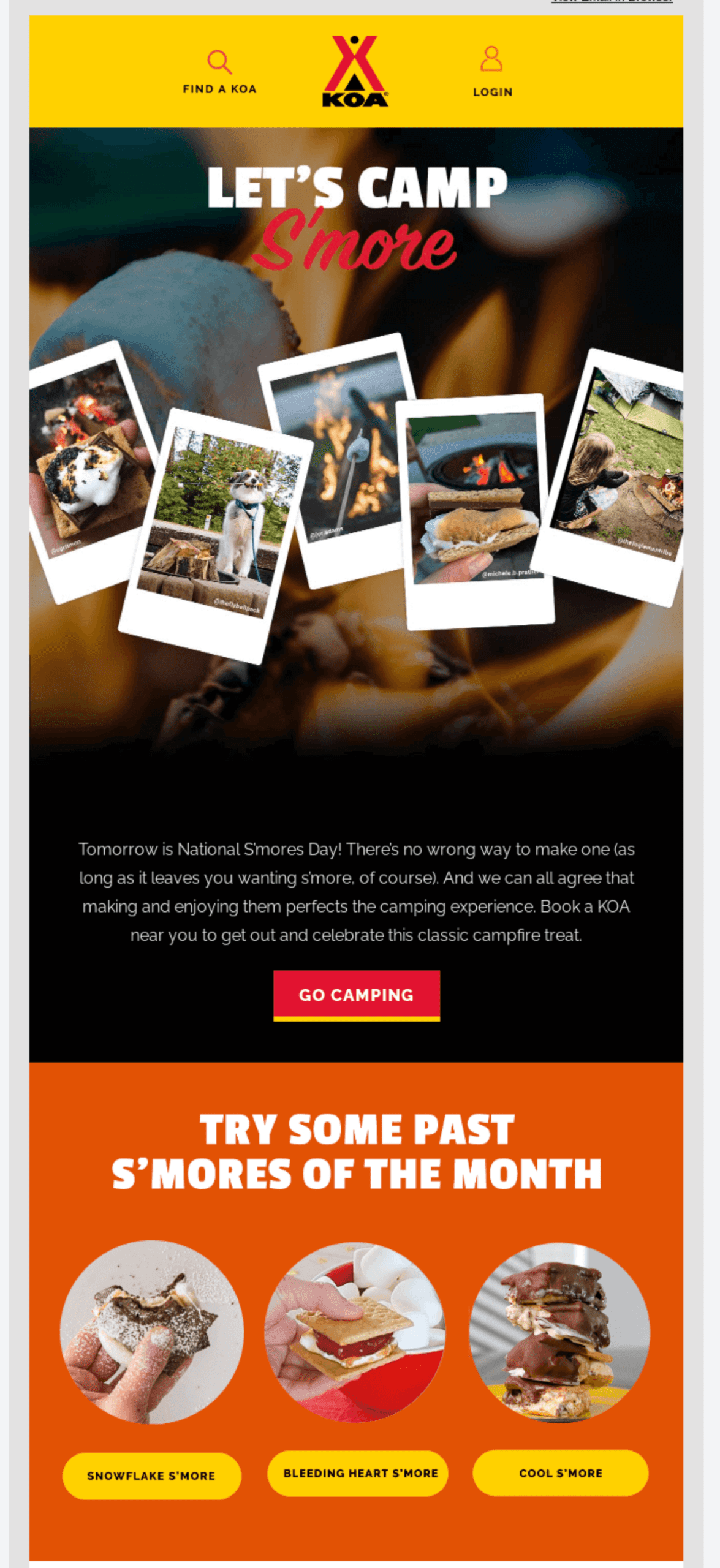 11 Email Marketing Campaign Examples That Drive Results