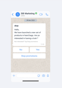 17 Examples of WhatsApp Business Message Templates