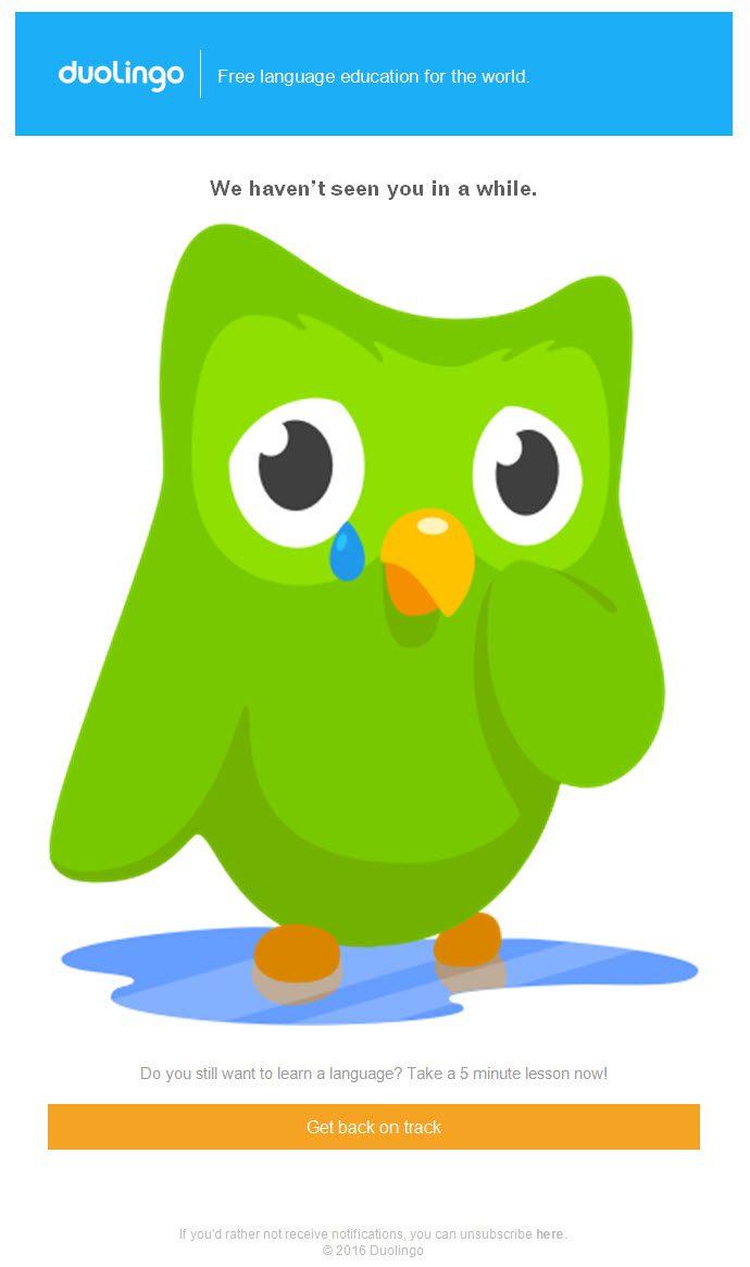 12 Customer Segmentation Examples for Targeted Marketing