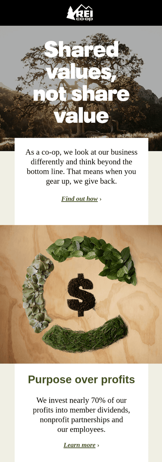 What Is A Newsletter? Definition, Purpose, & Resources