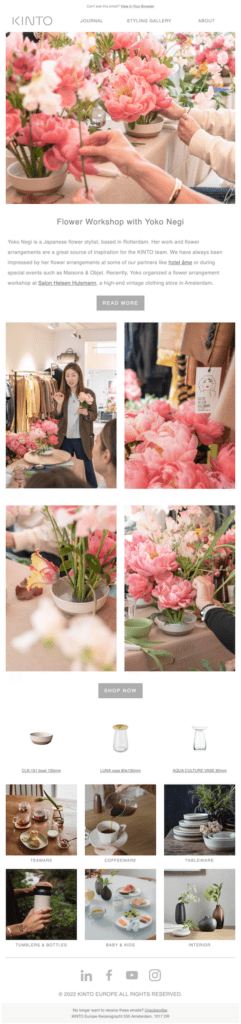 What Is A Newsletter? Definition, Purpose, & Resources